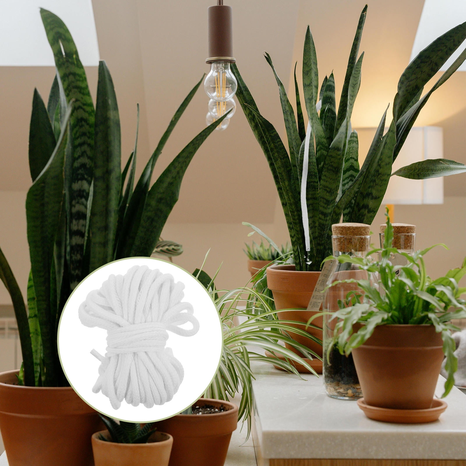 Worgeous Self Watering Wick Cord For Diy Plant Automatic Watering Device Absorbent Cotton Rope ...