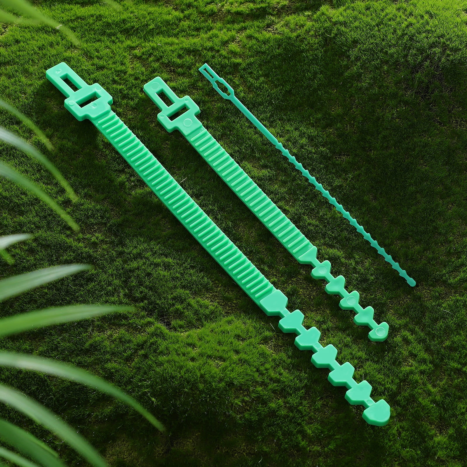 Worgeous Sturdy Tree Straps for Staking Made of Plastic Adjustable and ...