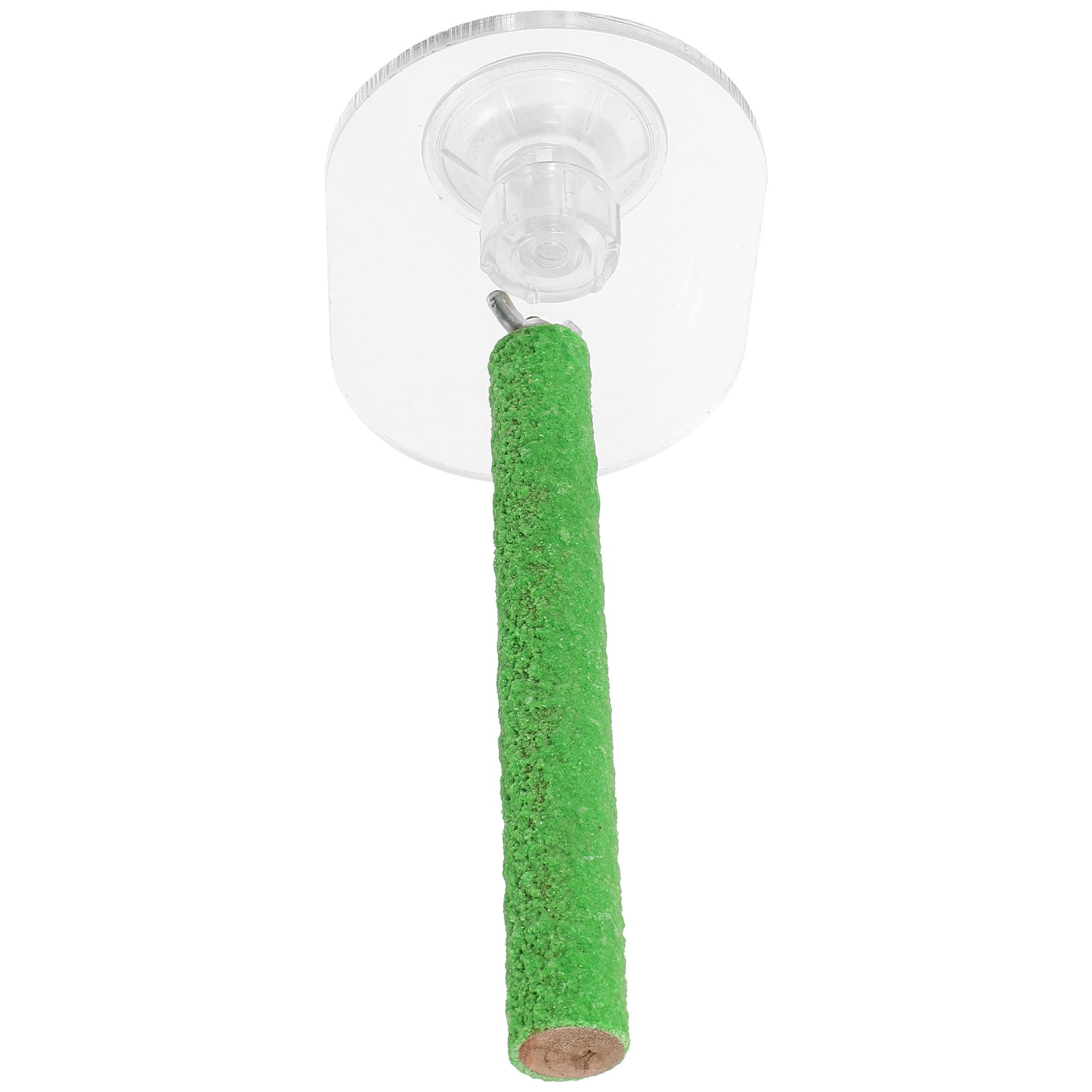 Worgeous Suction Cup Parrot Standing Rack Sucker Bird Stand Rod Wooden ...