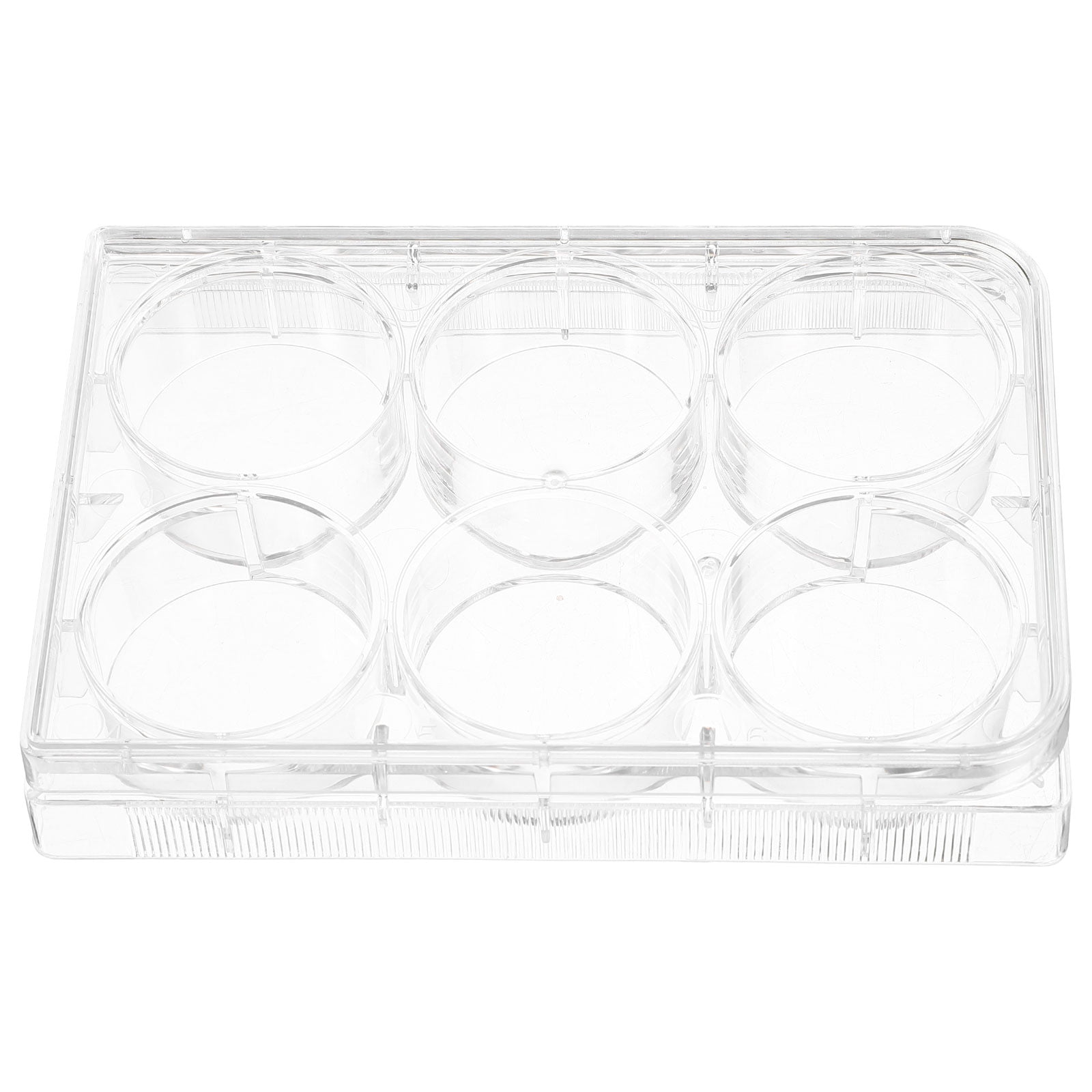 WORGEOUS Tissue Culture Plate Lab Equipment Tissue Culture Tray Cell ...