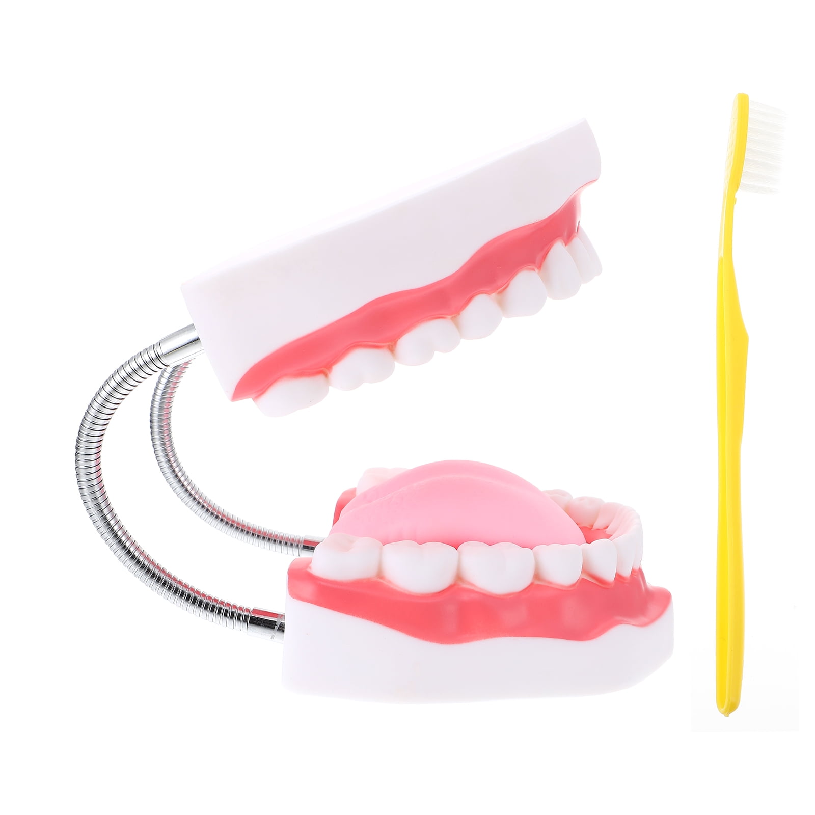 Worgeous Tooth Numbing Gel Model Dental Care Toy Popular Child ...