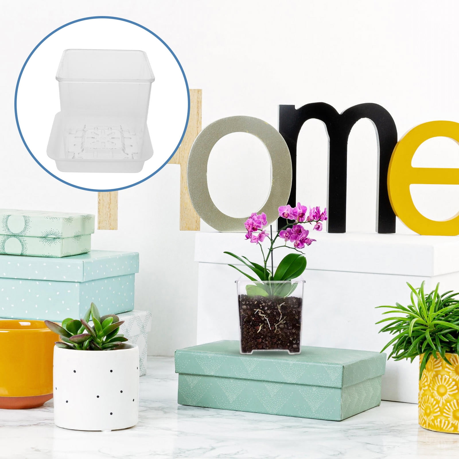 Raindrops Orchid Pot With Tray Acrylic Transparent For Gardeners Indoor ...