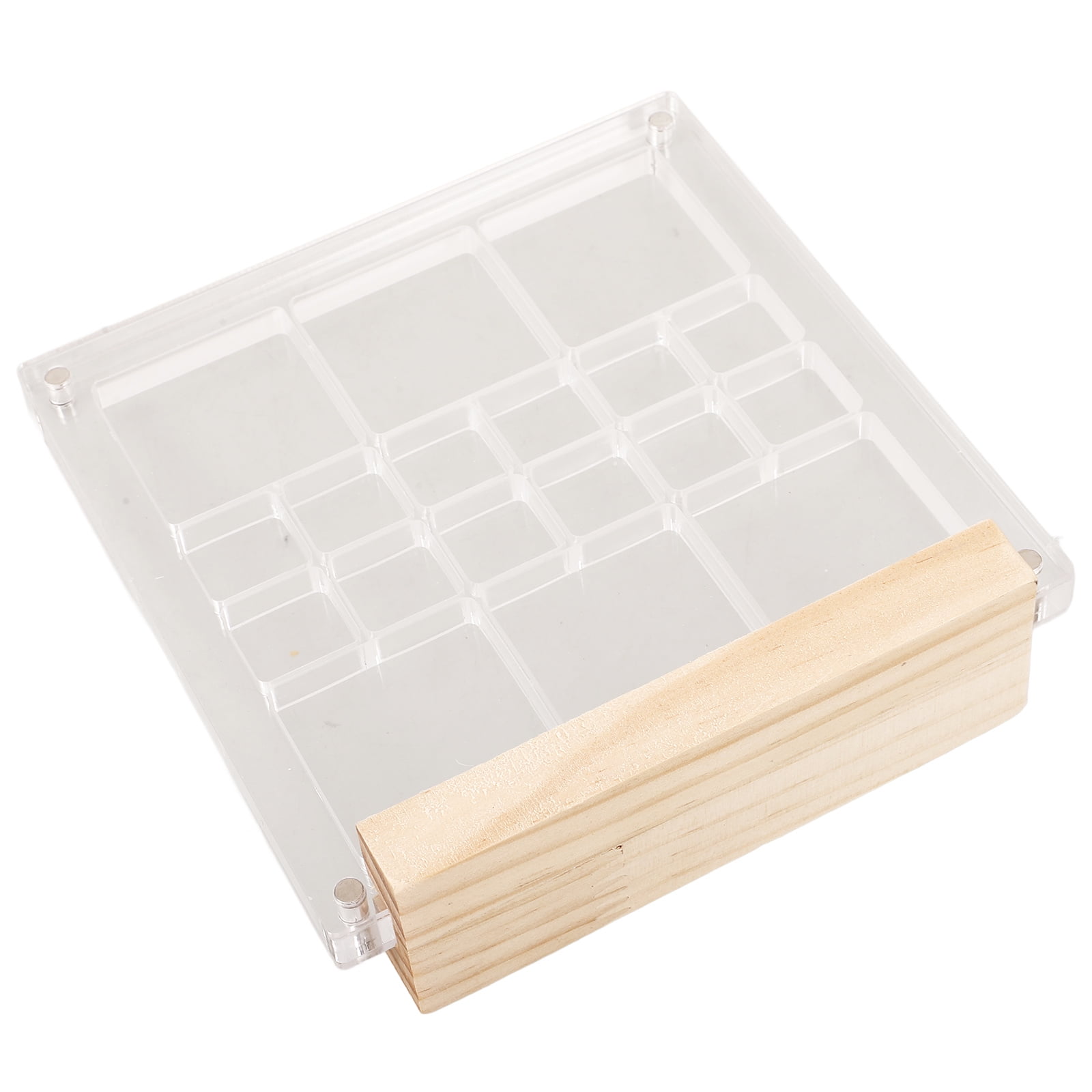 Transparent Acrylic Seashell Display Case 1 Set with Wood Base Clear ...