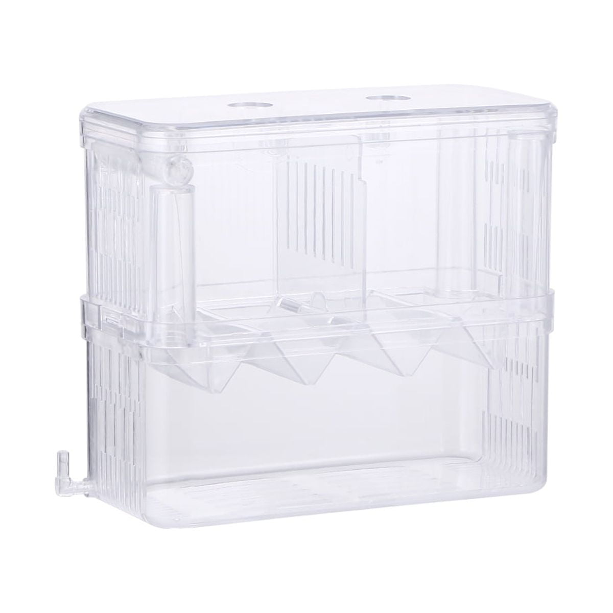 Worgeous Transparent Double Functional Small Hatching Box Betta ...
