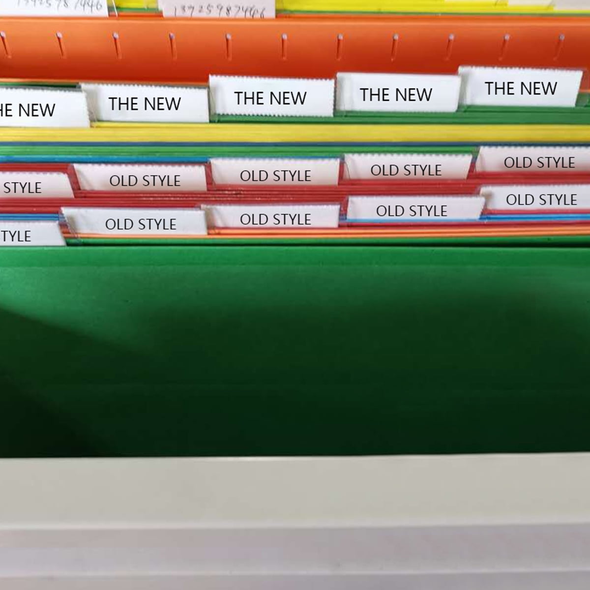 Worgeous Transparent PVC Tooth Clamp for Holding Use Ideal for Shelves ...