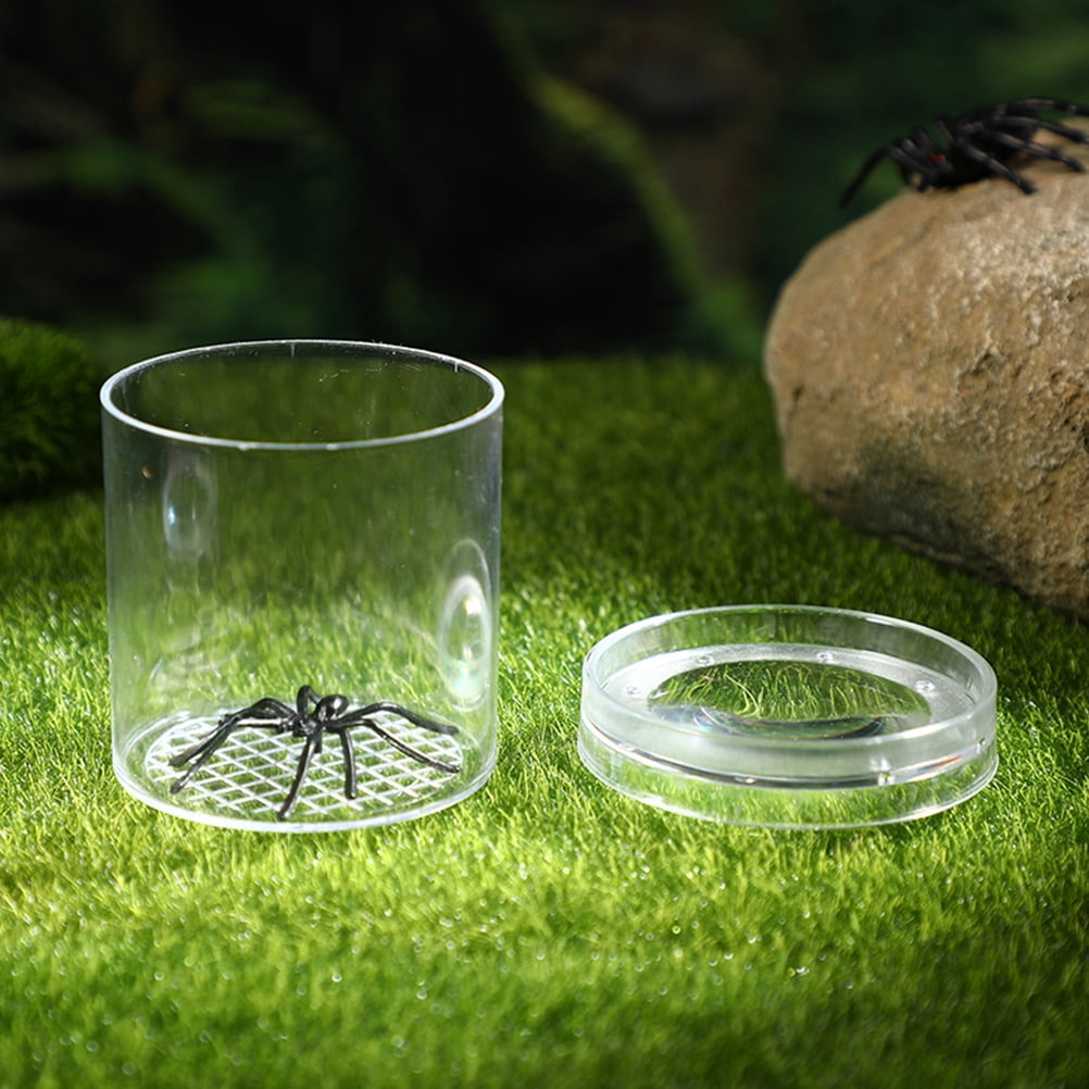 Worgeous Transparent Plastic Catcher Viewer Box for Insect Observation ...