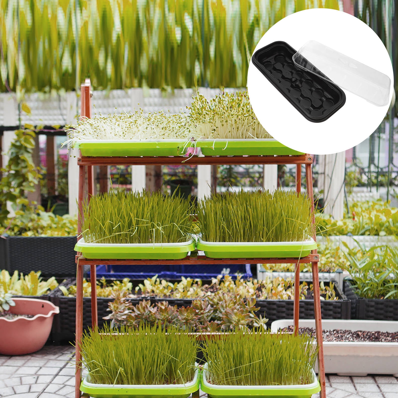 Milisten Garden Planting Tray Sowing Tray Plastic 4 Sets for Home Use ...