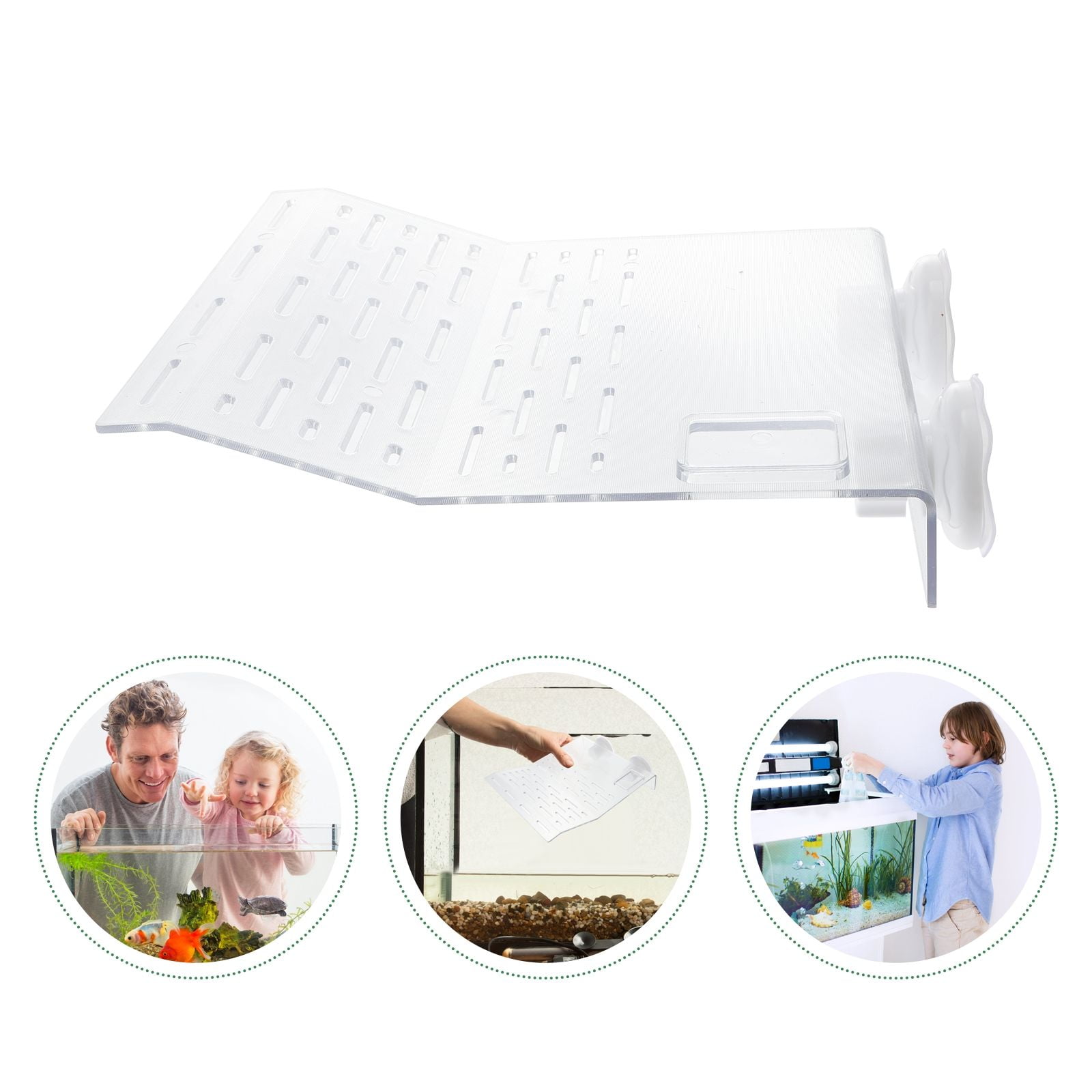 Worgeous Transparent Turtle Terrace Climbing Platform for Aquarium Tank ...