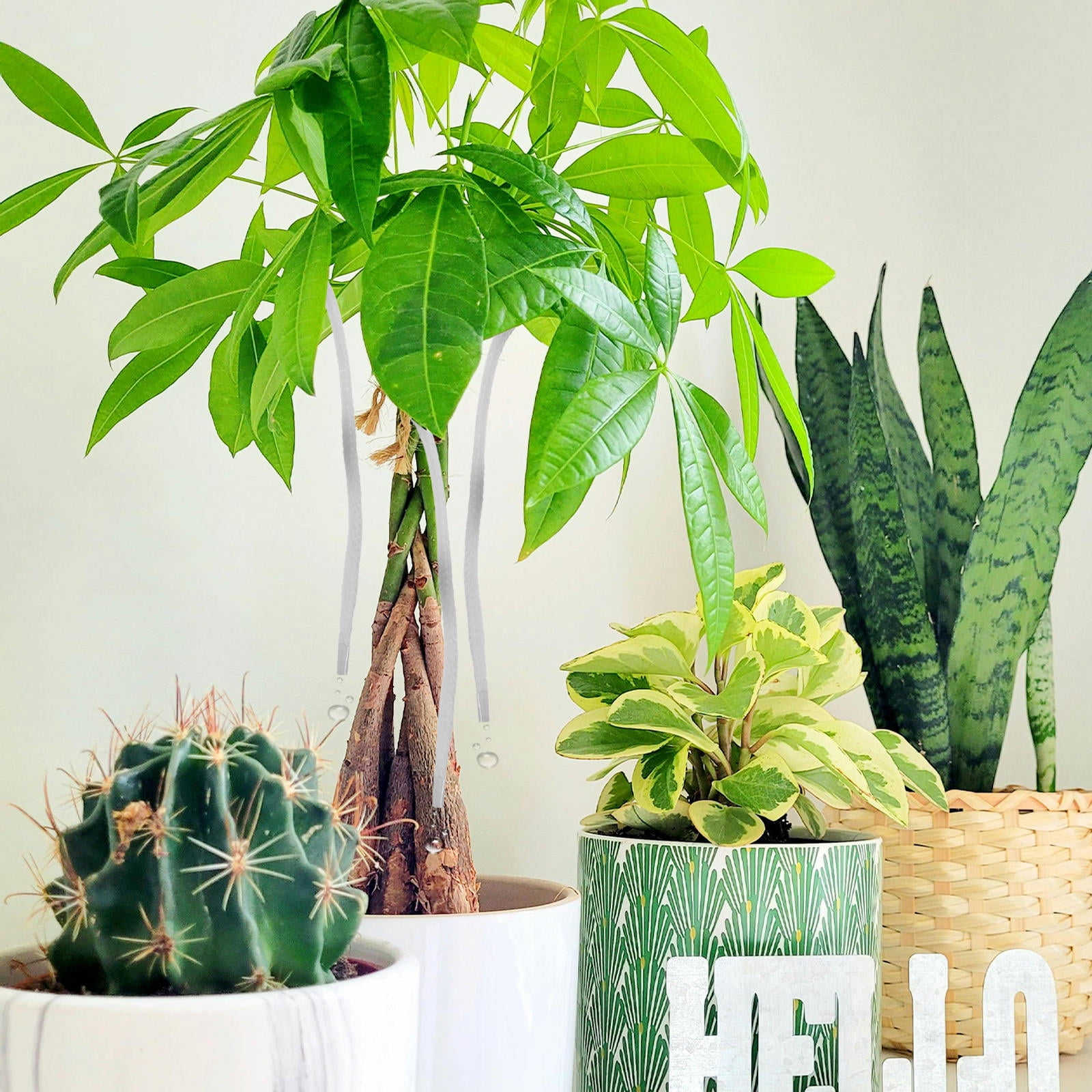 Worgeous Watering Cotton Wick Planter Watering Cotton String For ...