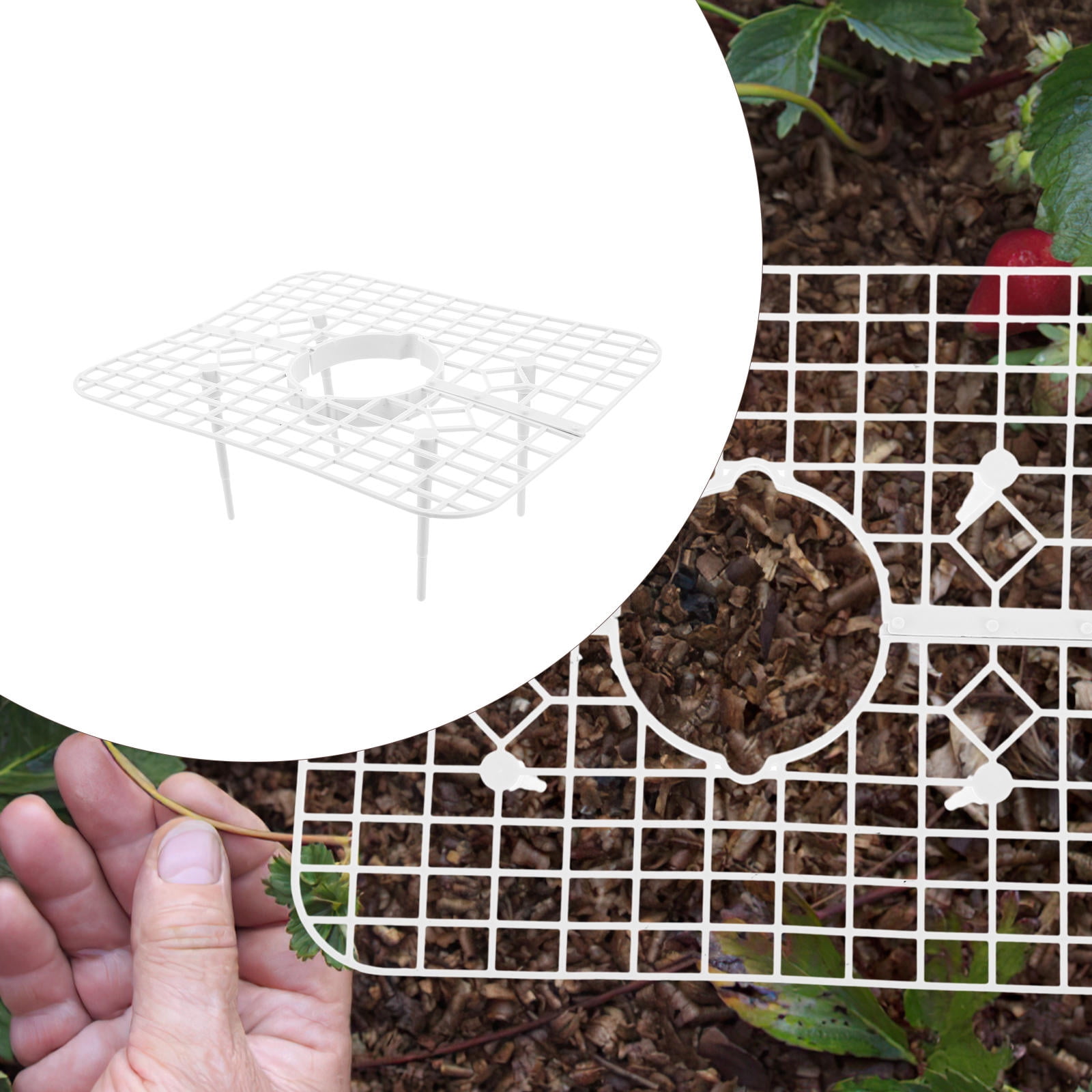 Worgeous White Plastic Plant Stand for Small Plants like Strawberries ...