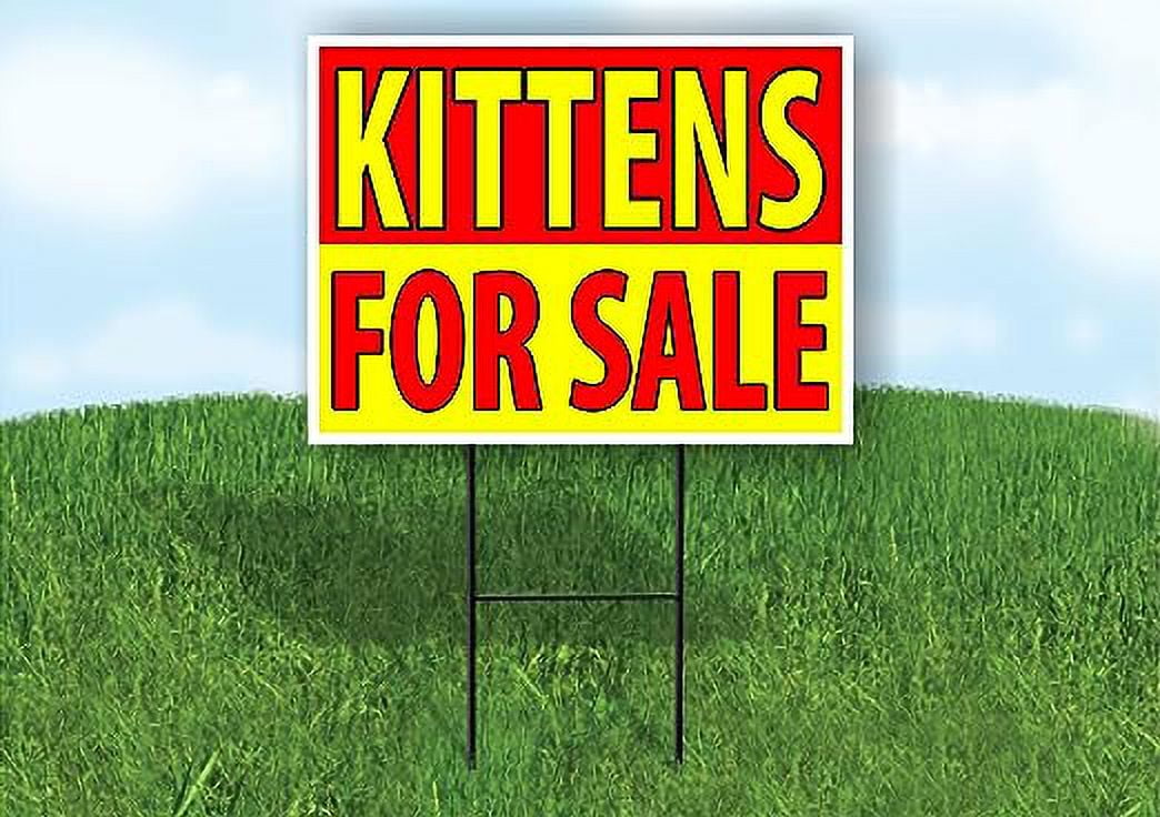 Work House Signs Single Sided Sign Kittens for Sale RED Yellow Yard ...