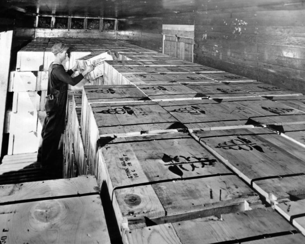 Worker Loading The First Full Box Carload Shipment Of Penicillin In ...