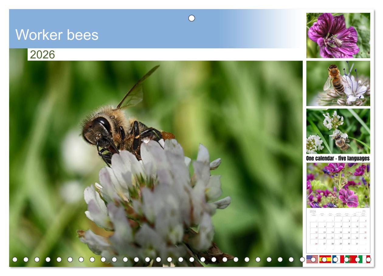 Worker bees (Monthly Wall Calendar 2026 16.5 x 23.4 (open)), CALVENDO ...