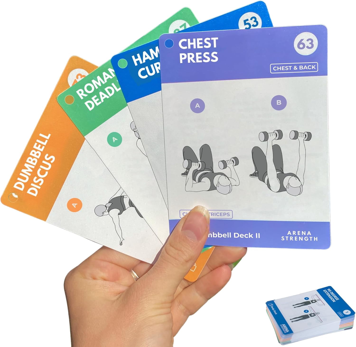 Workout Cards - Instructional Fitness Deck for Booty Band Workouts ...