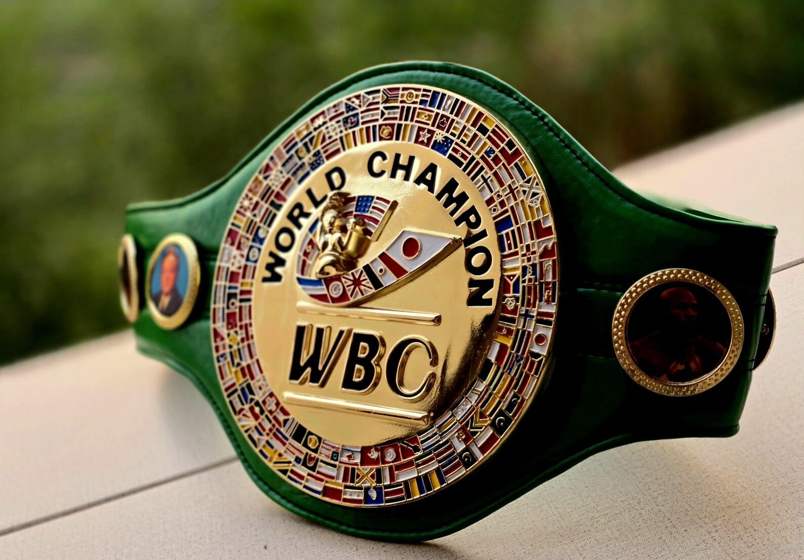 World Boxing Championship Replica Title Belt Adult Size High Quality ...