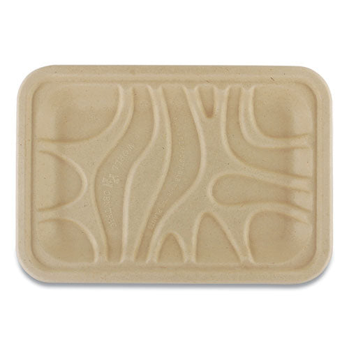 World Centric Fiber Trays, Pla Lined, Pfas Free, 1-Compartment, 8.2 X 5 ...