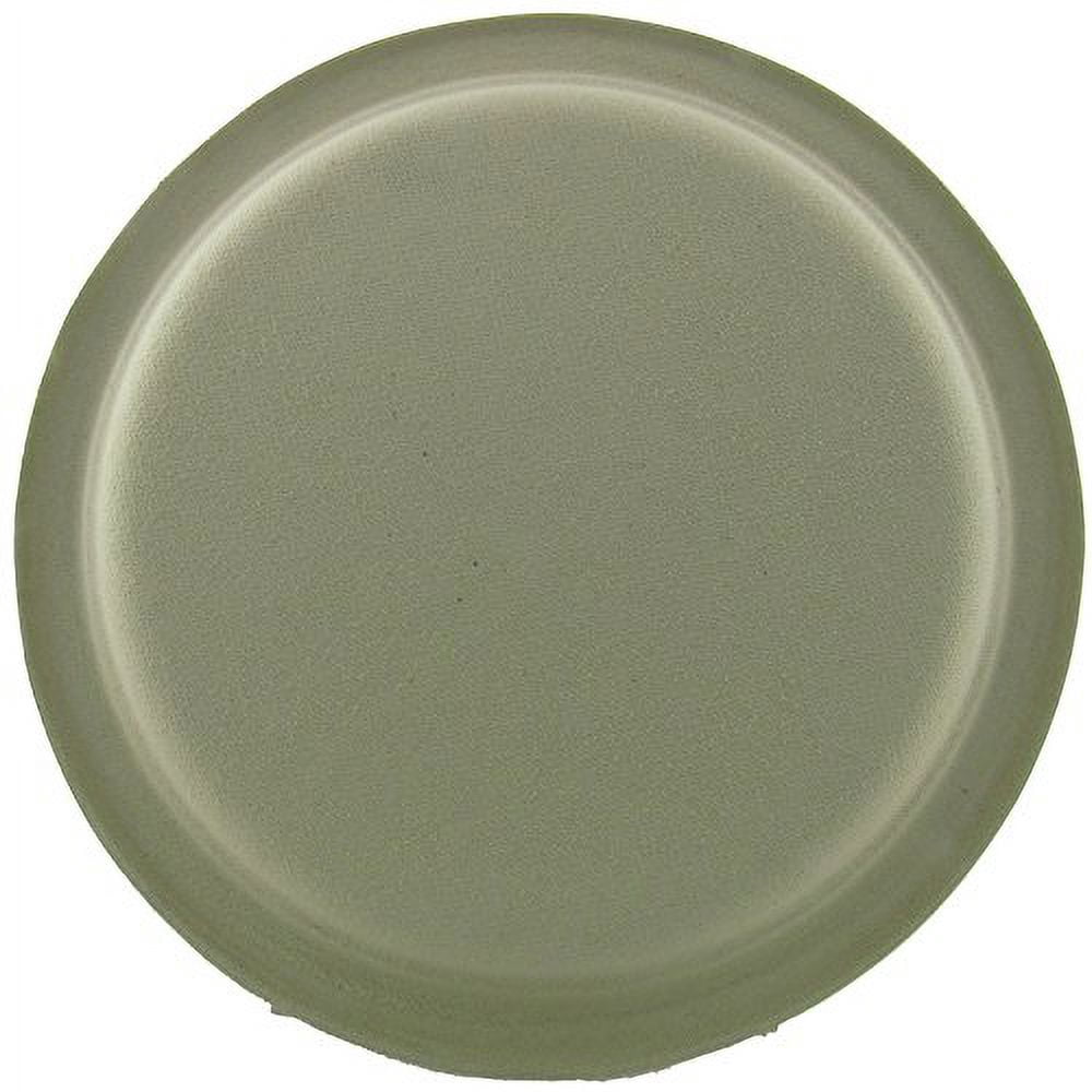 World Centric's Biodegradable and Compostable Wheat Straw 9" Plates ...