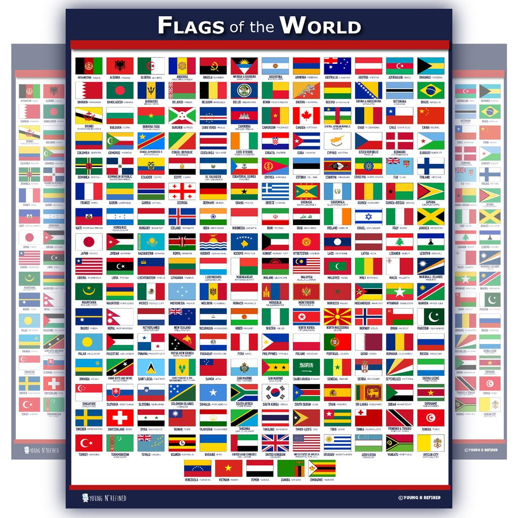 World Flags Educational Poster Laminated - Young N Refined - Walmart.com