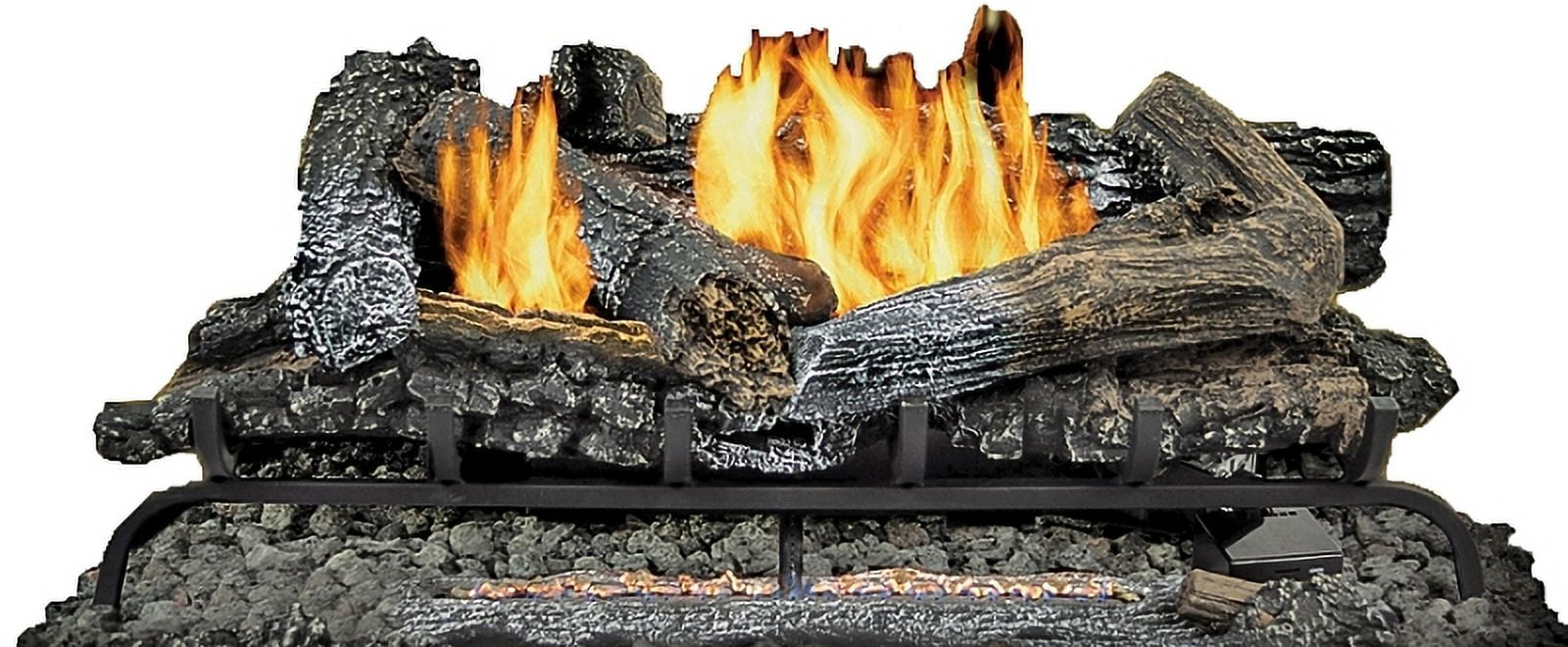 World Marketing GLD2465R Dual Fuel Vent-Free Gas Log Set With Remote ...