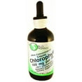 World Organics Chlorophyll 15:1 Concentrate, 4 Oz - Walmart.com