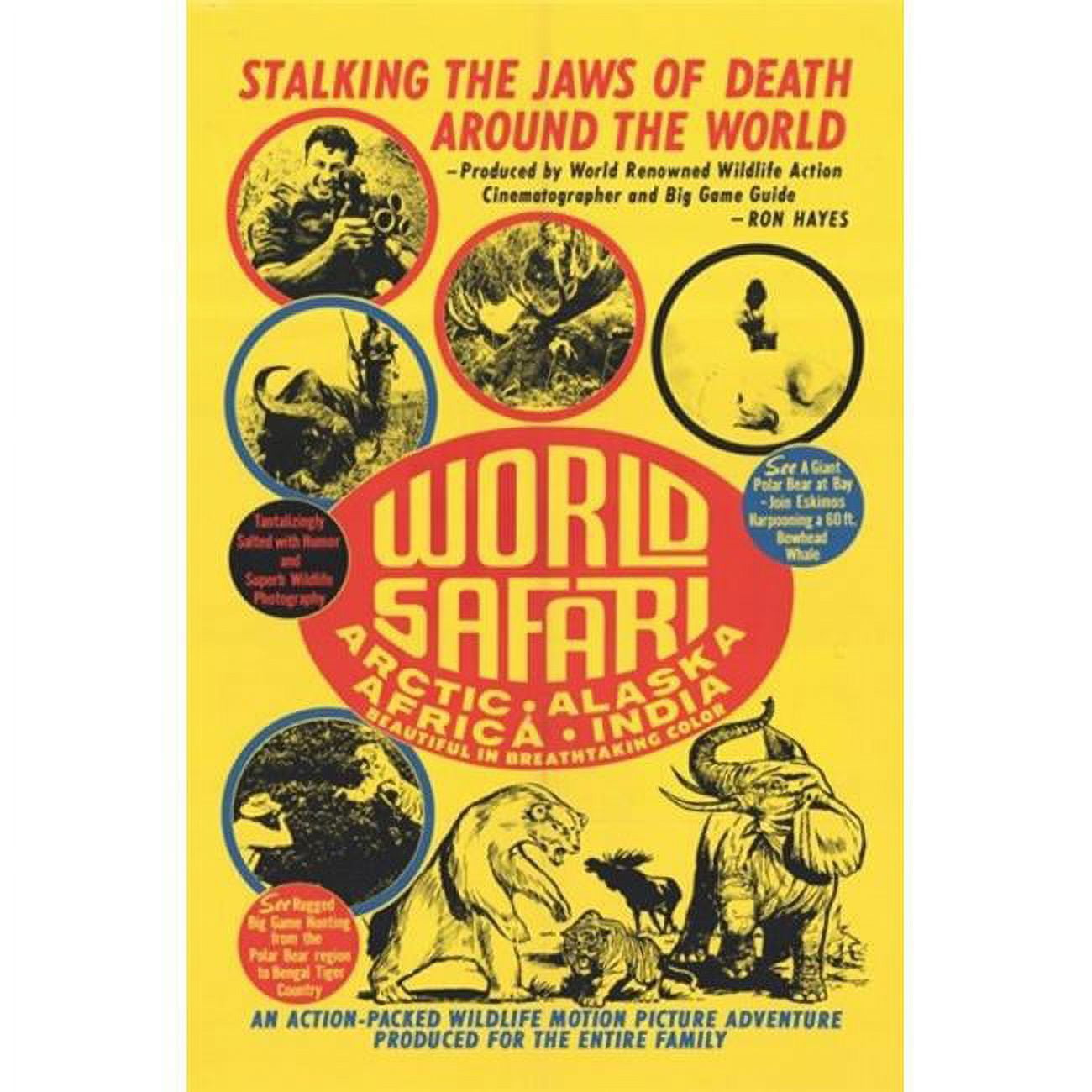 World Safari Movie Poster 11 X 17 In