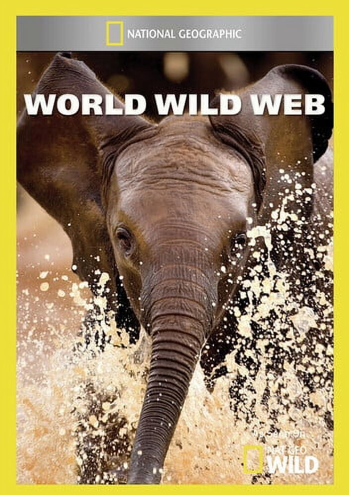World Wild Web (DVD), National Geographic, Documentary - Walmart.com