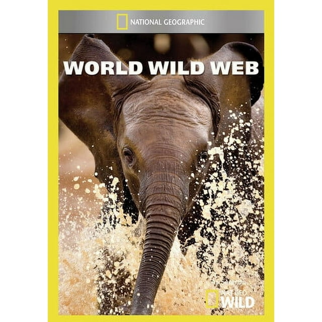 World Wild Web (DVD), National Geographic, Documentary - Walmart.com