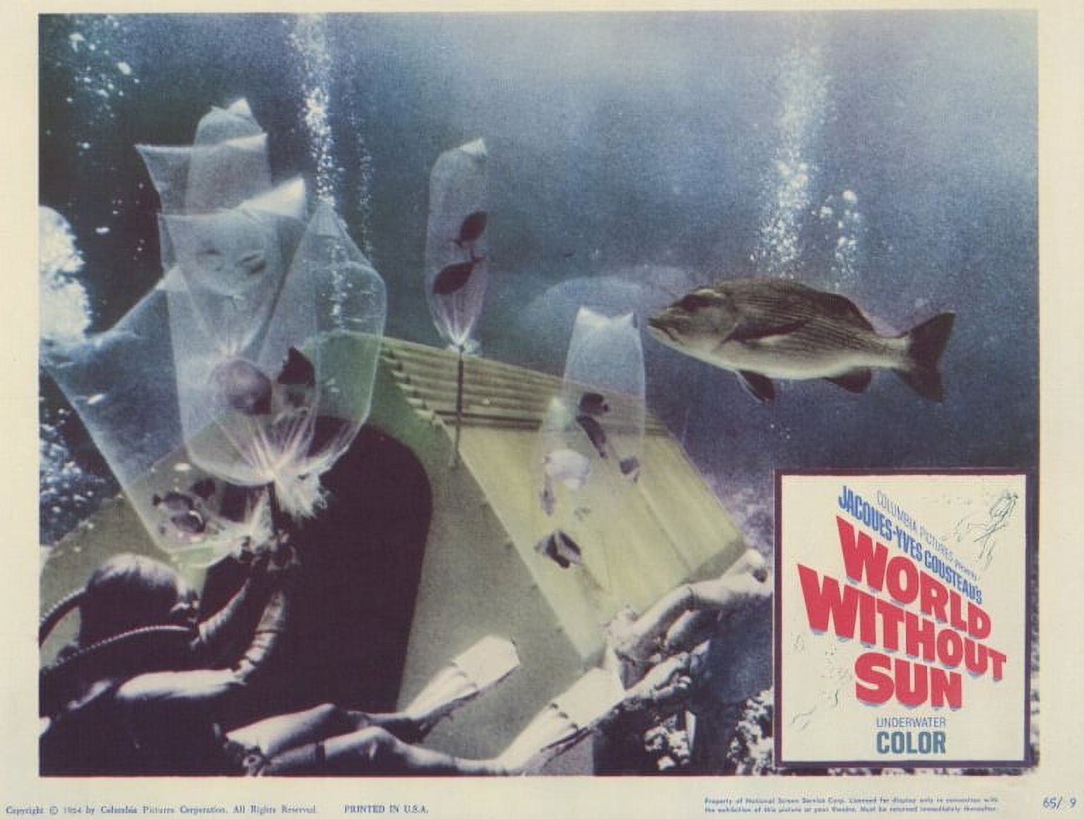 World Without Sun - movie POSTER (Style C) (11" x 14") (1965) - Walmart.com