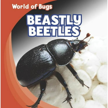 The Weird and Wonderful World of Bugs : A Book About Beetles ...