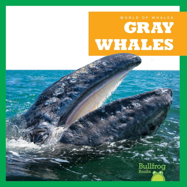 World of Whales Gray Whales, (Hardcover) - Walmart.com