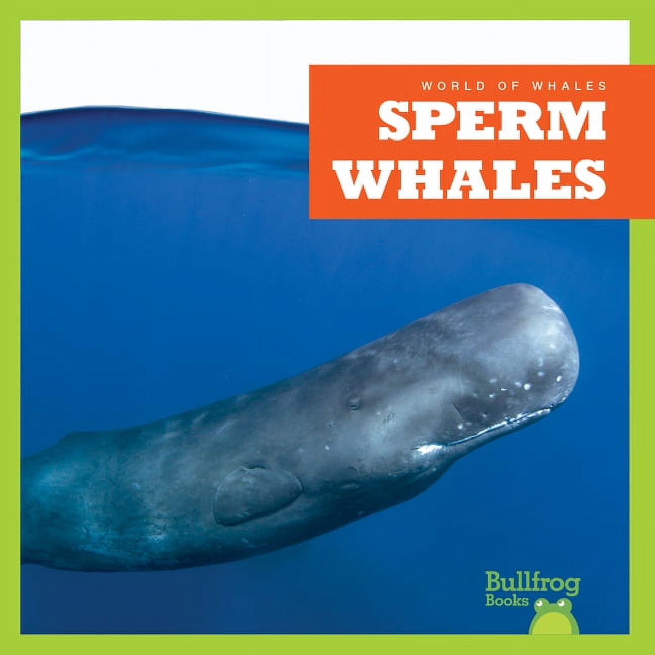 World of Whales Sperm Whales, (Paperback) - Walmart.com