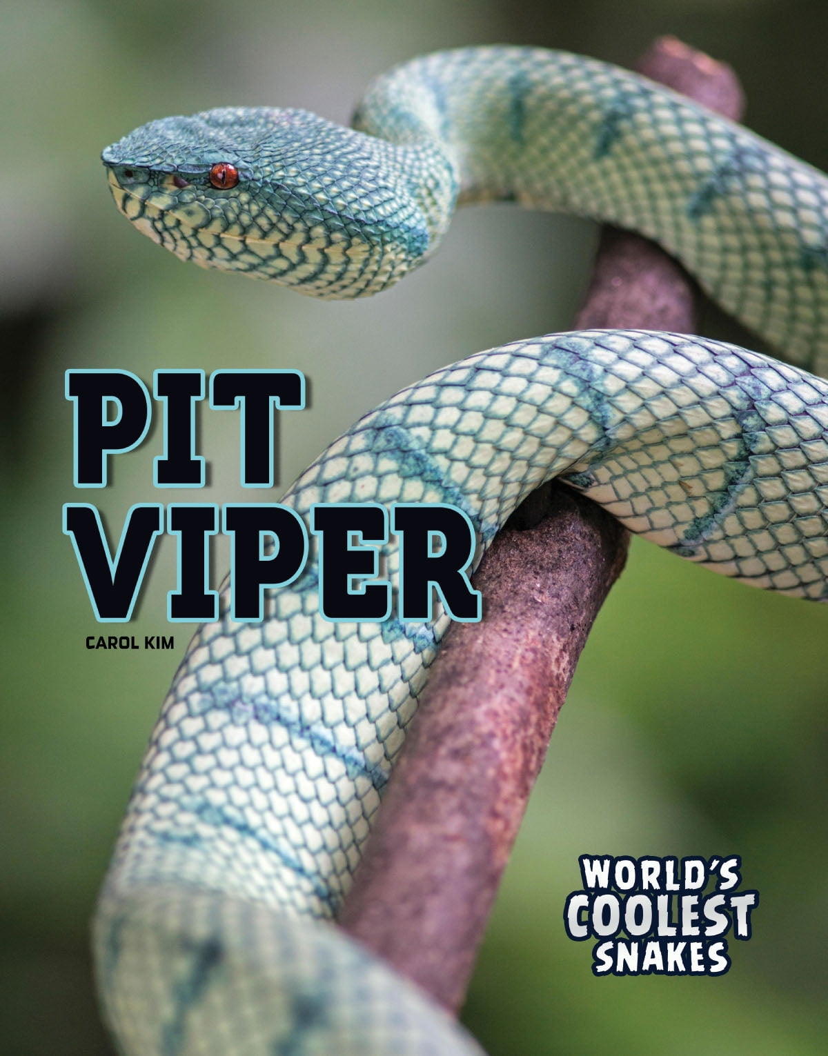 World's Coolest Snakes: Pit Viper (Paperback) - Walmart.com