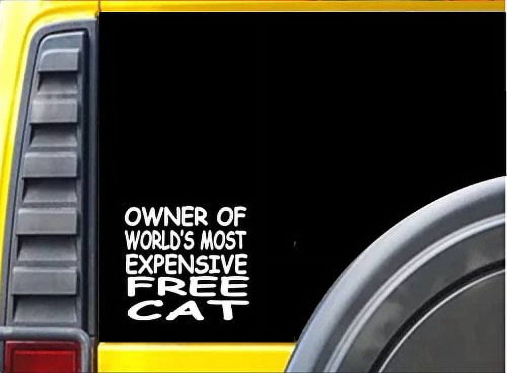 World's Most Expensive Free Cat *J684* Decal Sticker - Walmart.com