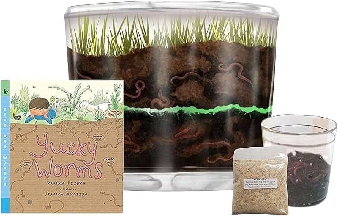 Wormery Composter Outdoor Worm Farm For Kids With Live Worms, Food ...