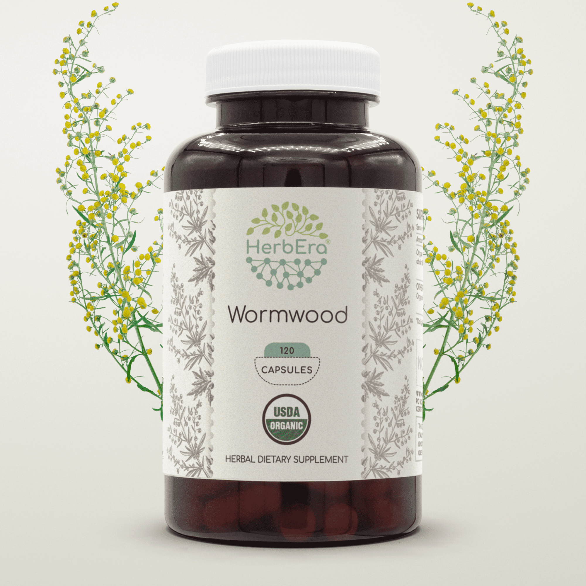 HerbEra Wormwood Capsules, Organic Herbal Dietary Supplement for ...