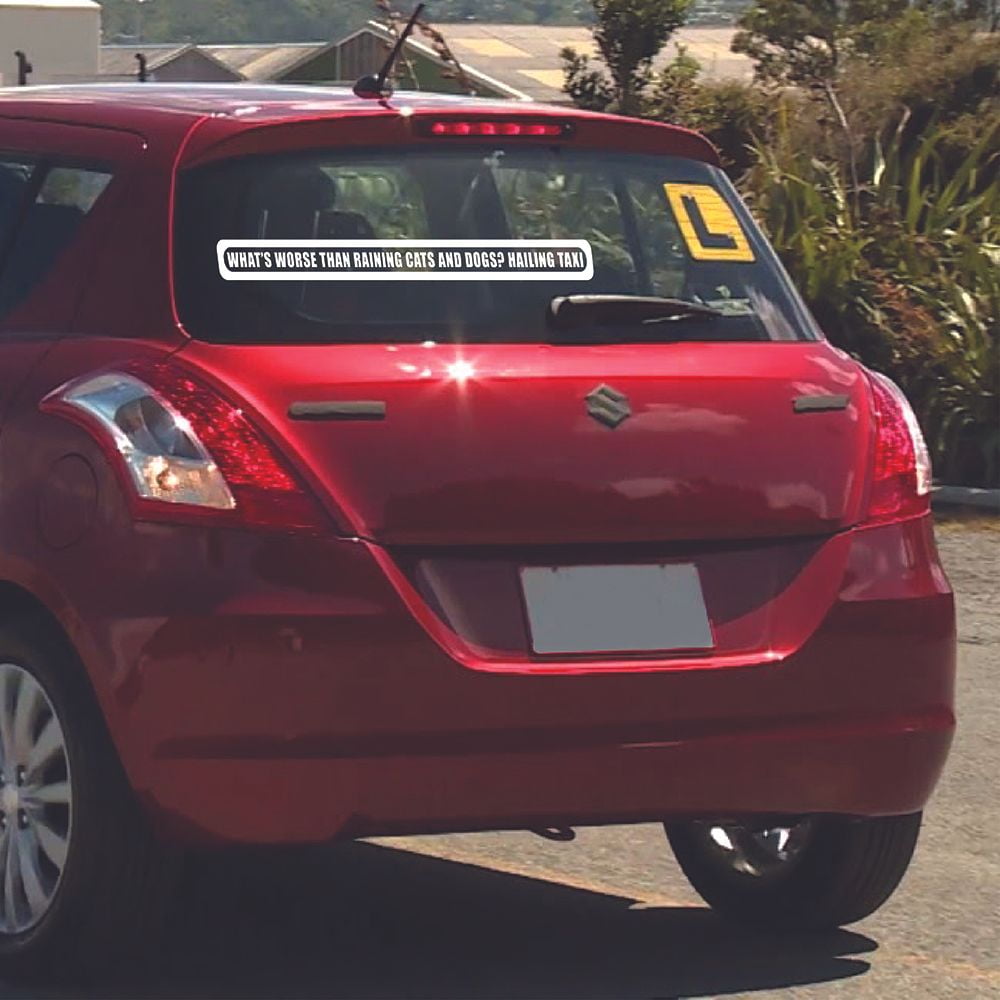 Worse Hailing Taxi Funny Quote Sticker Art Decor Car Decals for Girls ...