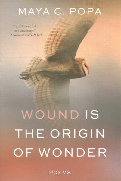 Pre-Owned Wound Is the Origin of Wonder: Poems - Walmart.com