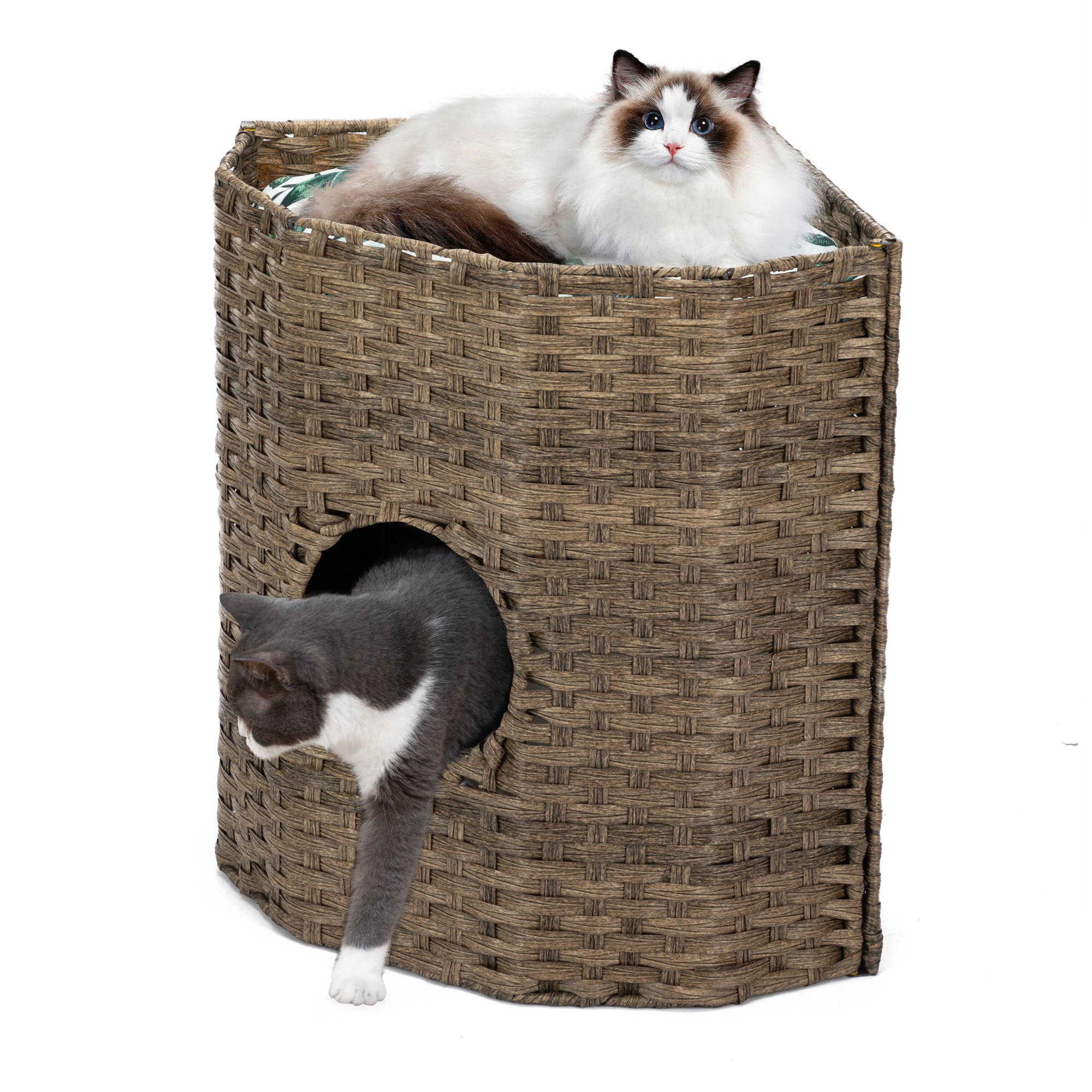 Woven Rattan Cat Litter Box Enclosure, Hidden Cat Washroom with ...