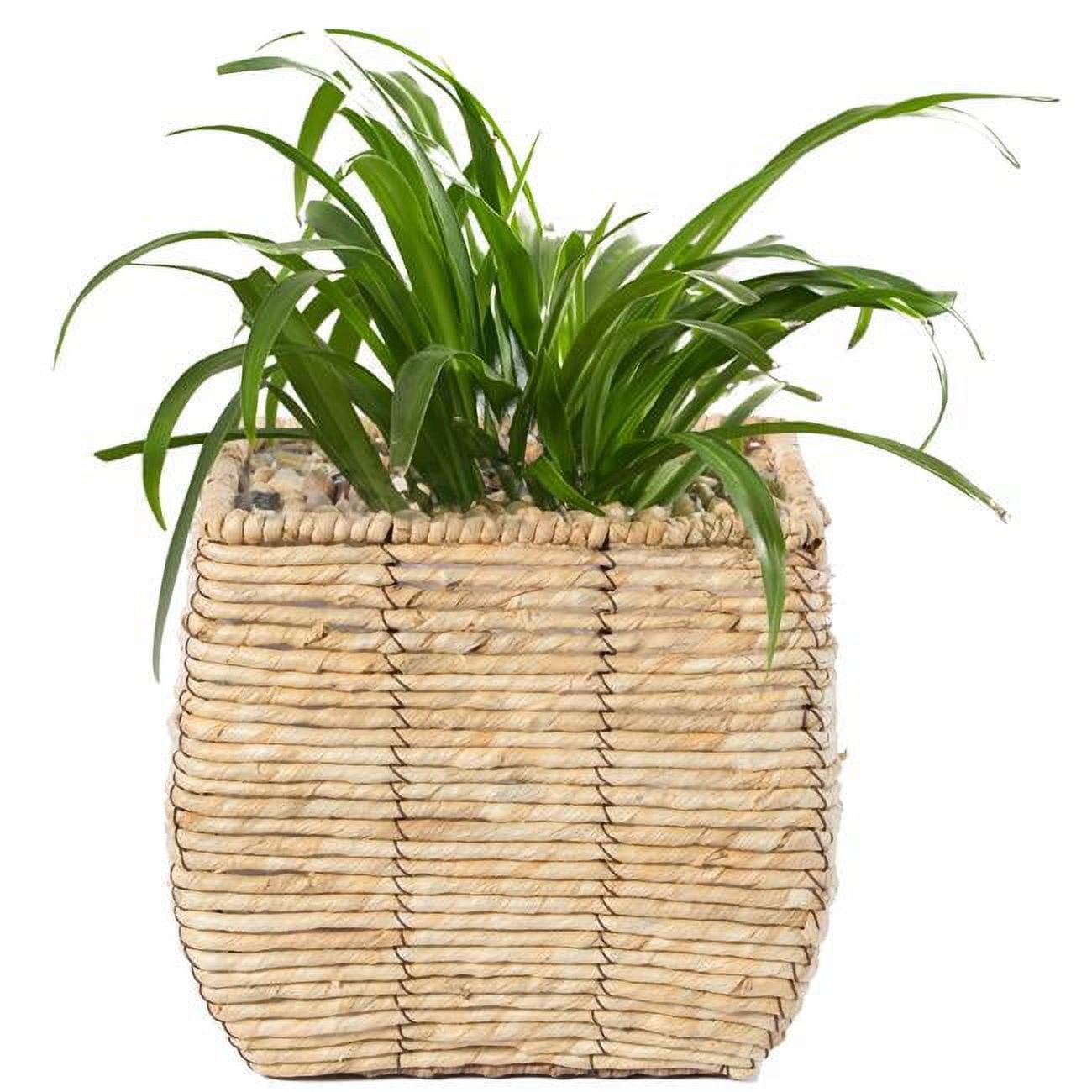 Foro Square Beige and Tan Sea Grass Wicker Woven Planter - Walmart.com