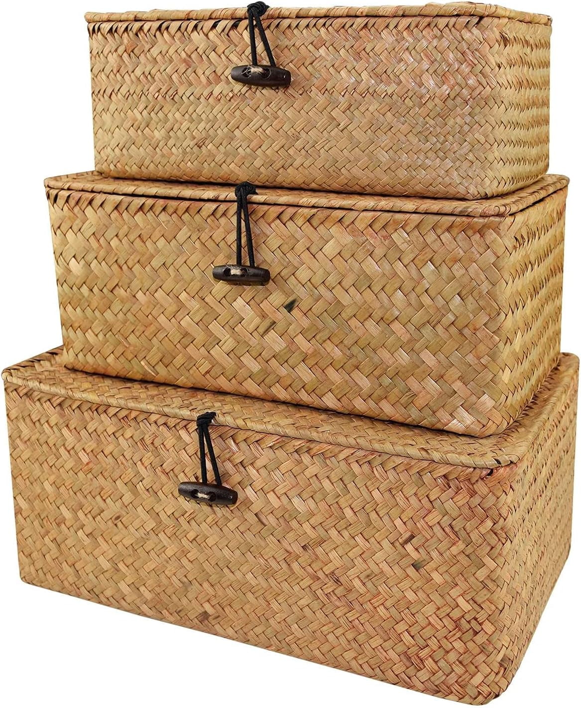 Woven Wicker Storage Bins with Lid, Button Hand-woven Rattan Desktop ...
