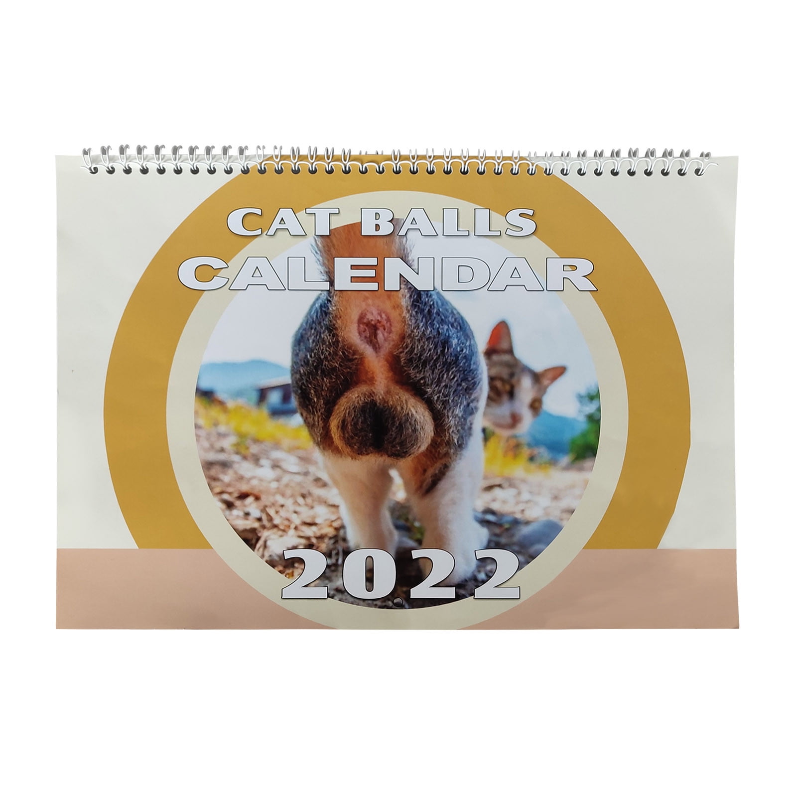 Wovilon Calendars 2023 Wall Monthly Planner Creative Desktop Spoof Cat ...