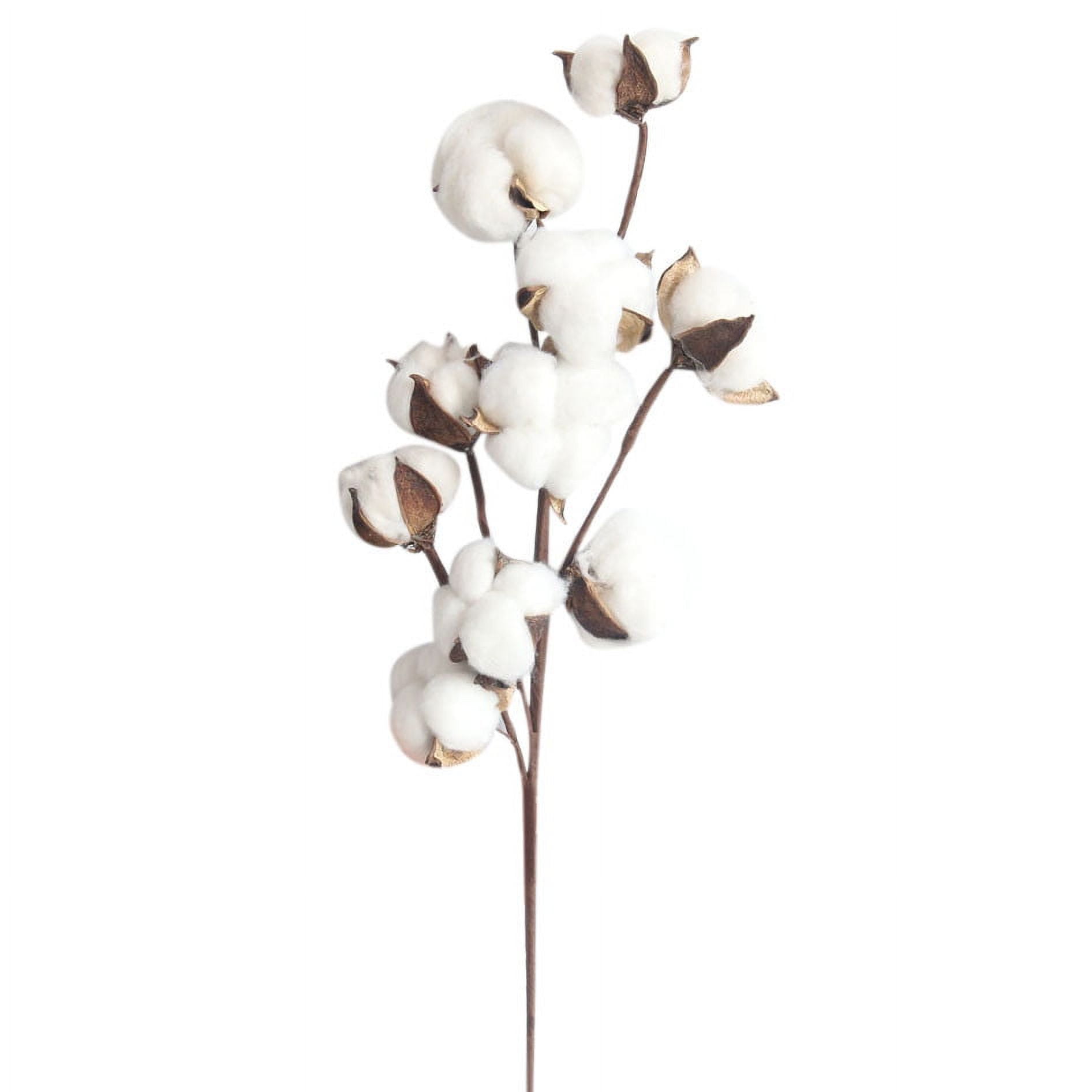 Wovilon Cotton Stems, Fake Cotton Flowers Dried Cotton Picks Stalks ...