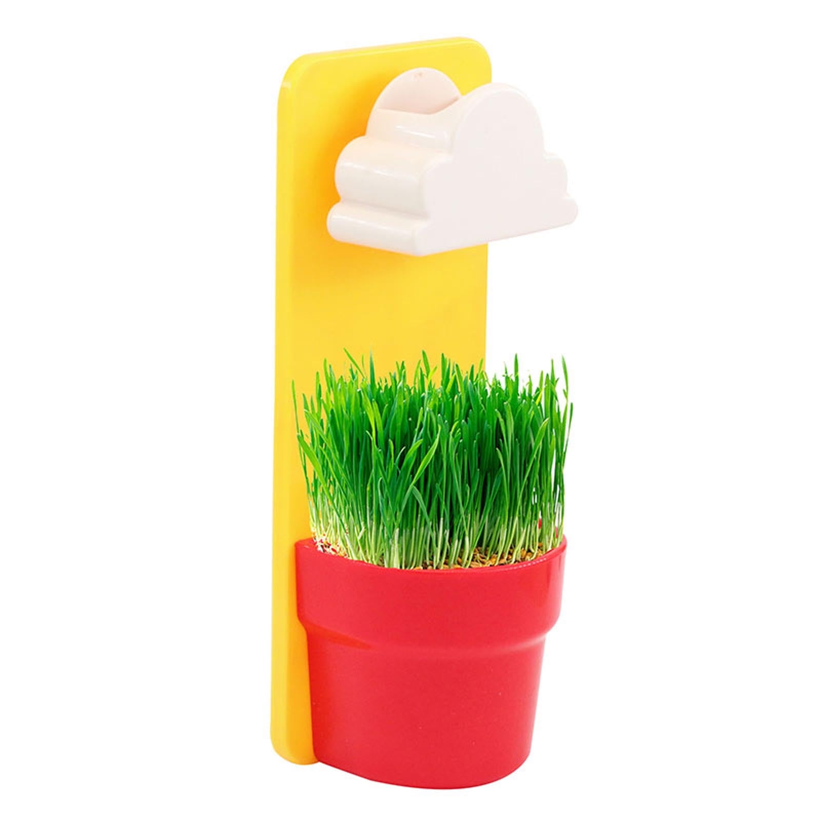 Wovilon Office Mini Desktop Flower Pot Wall-Hung Rain Cloud Watering ...
