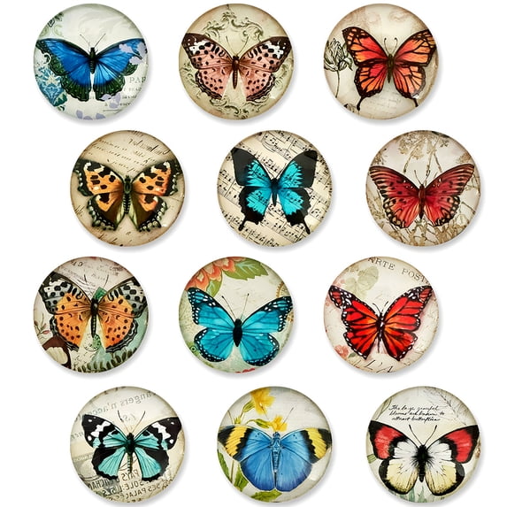 Wrapables Crystal Glass Magnets for Refrigerator, Whiteboards, Cabinets ...