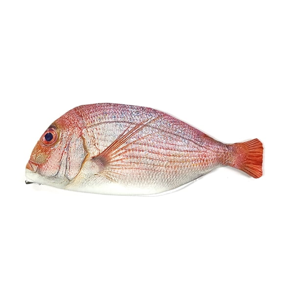 Fish Pencil Case