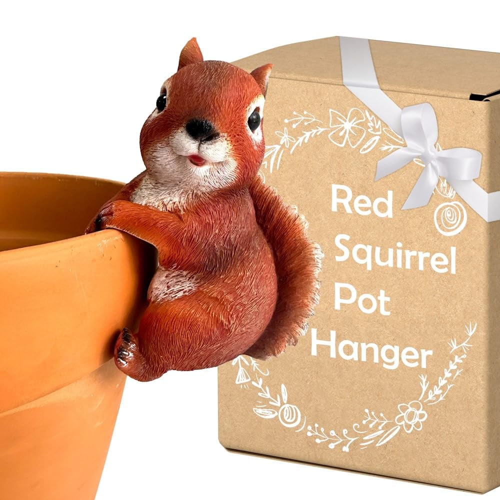 Wrenbury Outdoor Red Squirrel Ornament - Sammy The Squirrel Planter ...