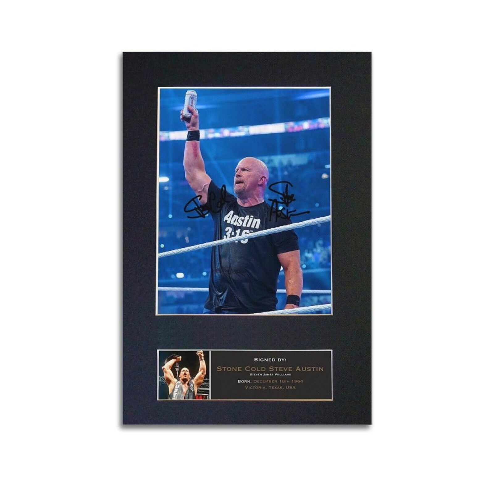 Wrestler Signed 21 Autograph Mounted Poster Decorative Painting Canvas ...