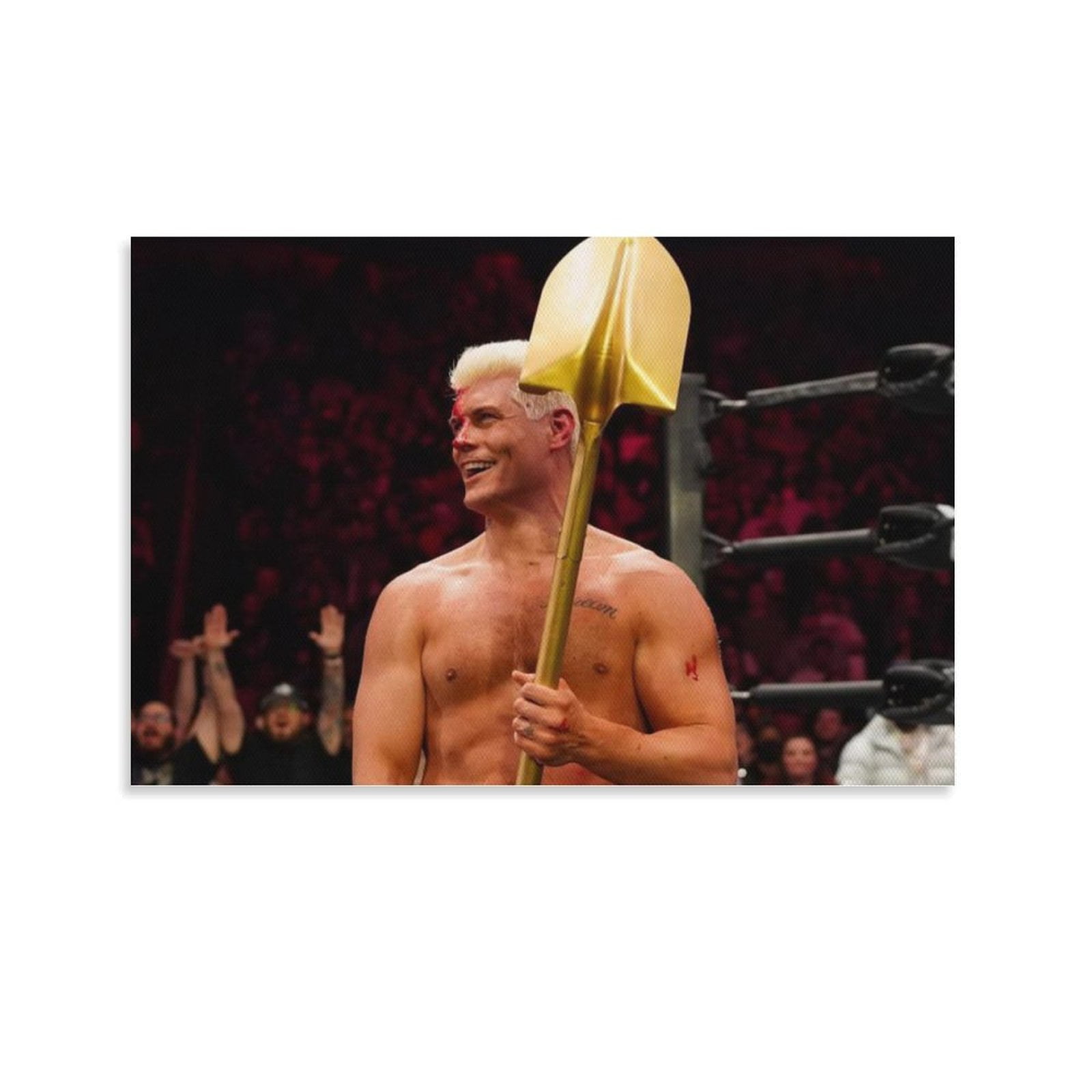 Wrestling Cody Rhodes Poster Cool Artworks Picture Print Poster Wall ...
