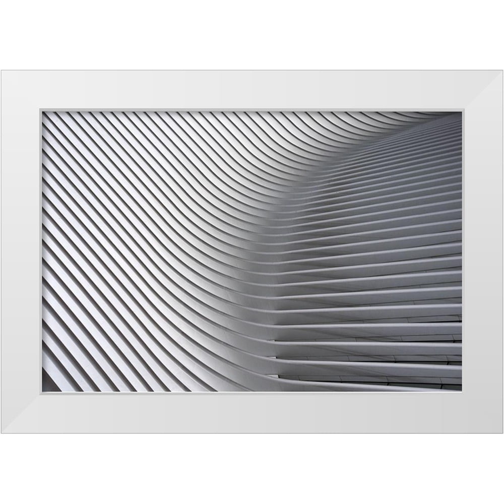 Wride, Linda 32x23 White Modern Wood Framed Museum Art Print Titled ...