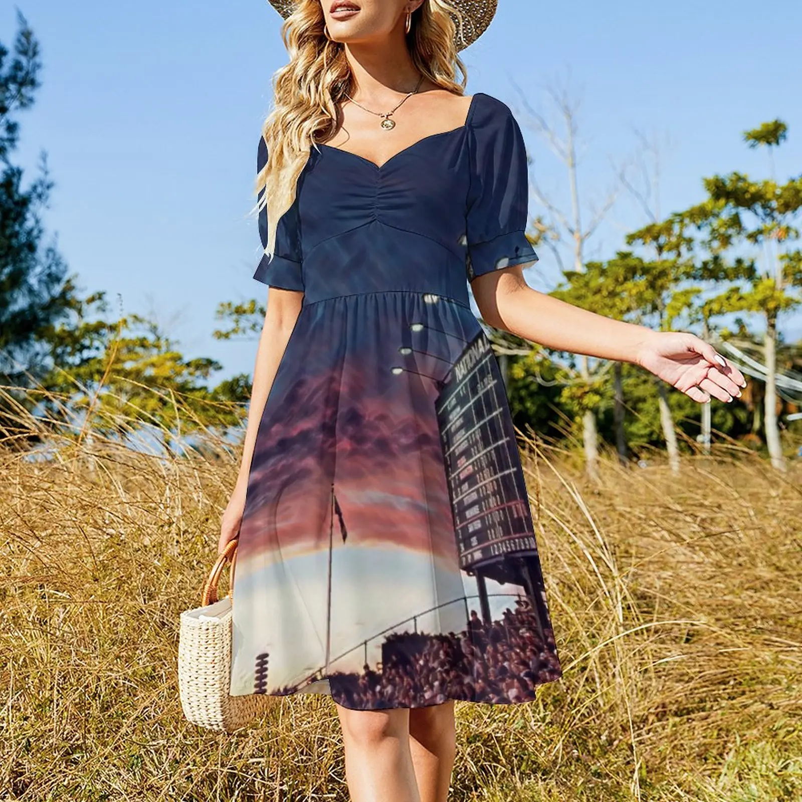 Wrigley Field Score Board Sleeveless Dress Female dress Summer women's ...
